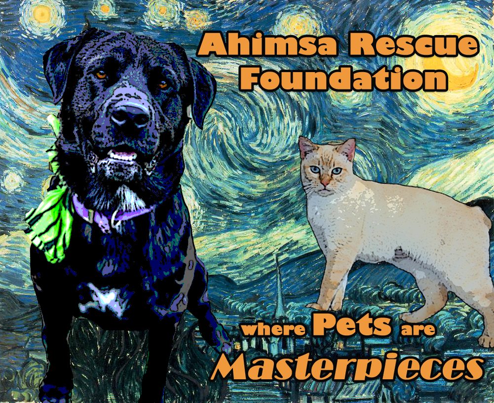 About Our Rescue – Ahimsa