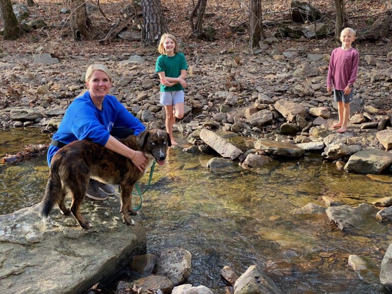 Danny’s wonderful home after 3 months at Ahimsa Rescue Foundation – Ahimsa